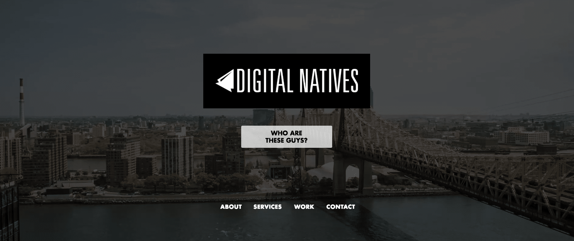 Digital Natives Group | Top Interactive Agencies